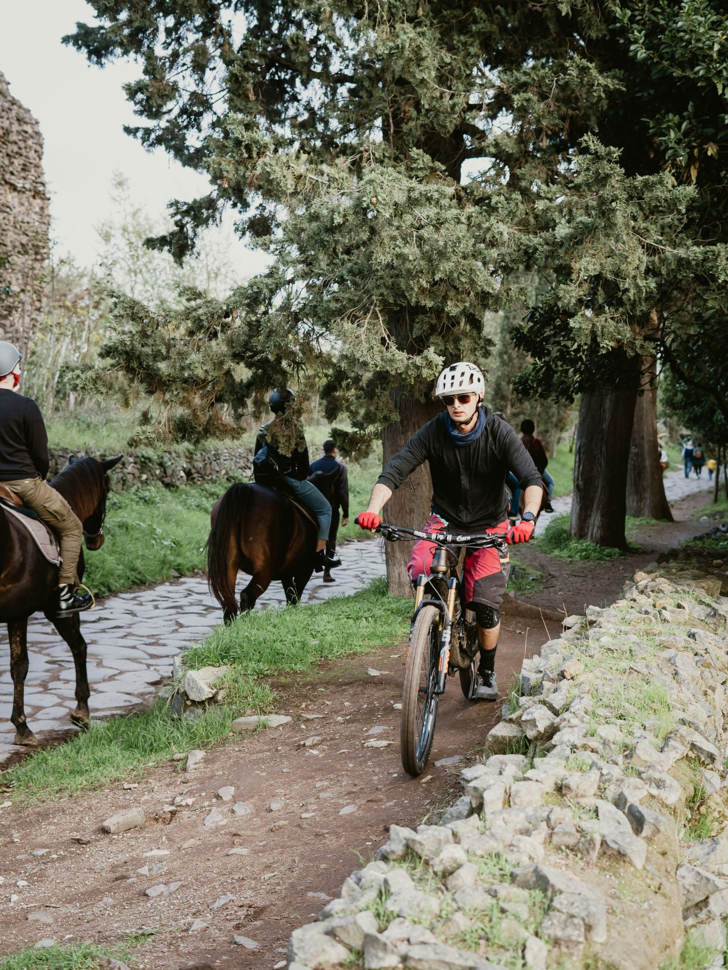 HAWK Bikes – Hochwertige Fahrräder und E-Bikes aus Berlin